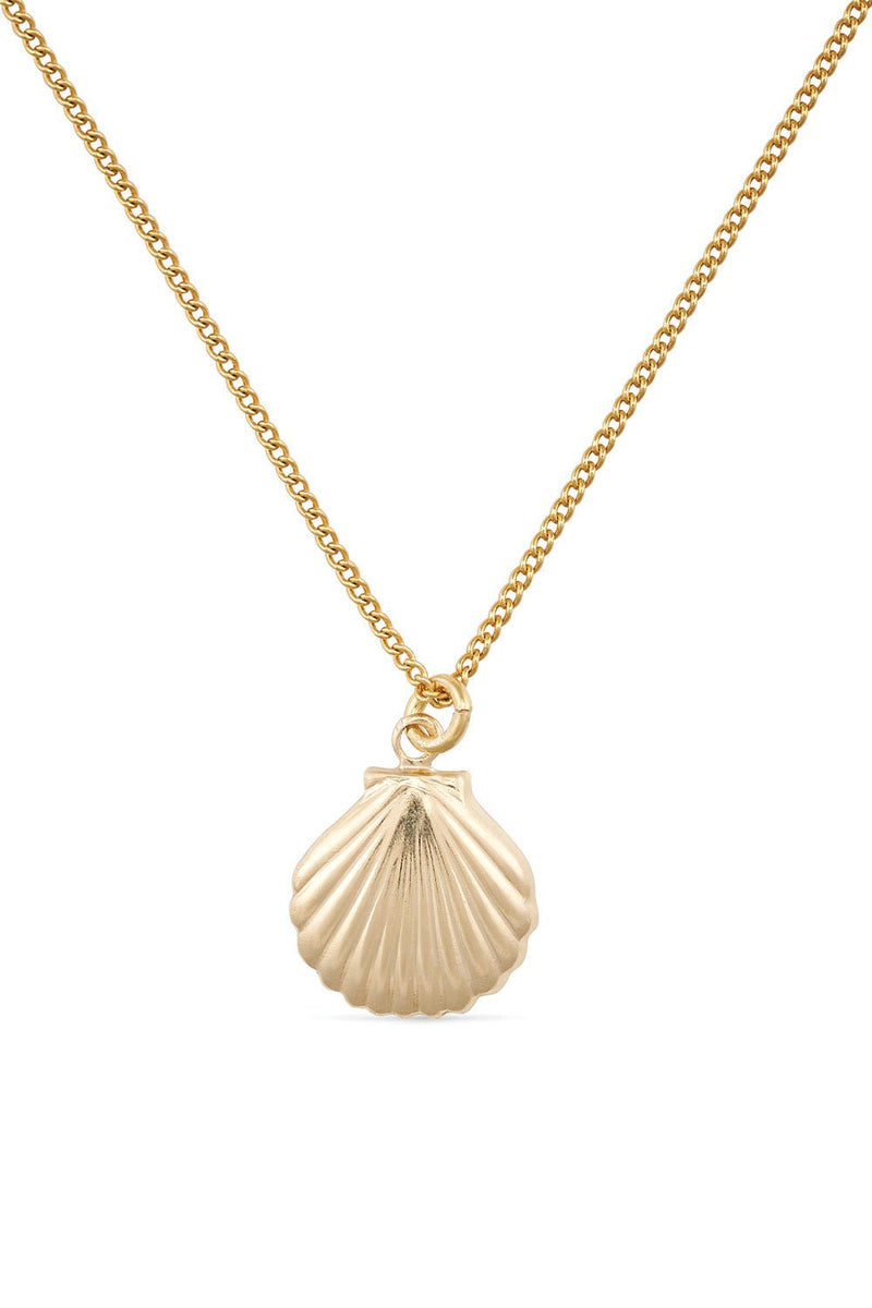 Dainty 18K Gold Shell Clam Necklace for Women, Gold Drop Ocean Necklace ...